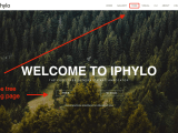 2 Iphylo Tree Iphylo Tutorial